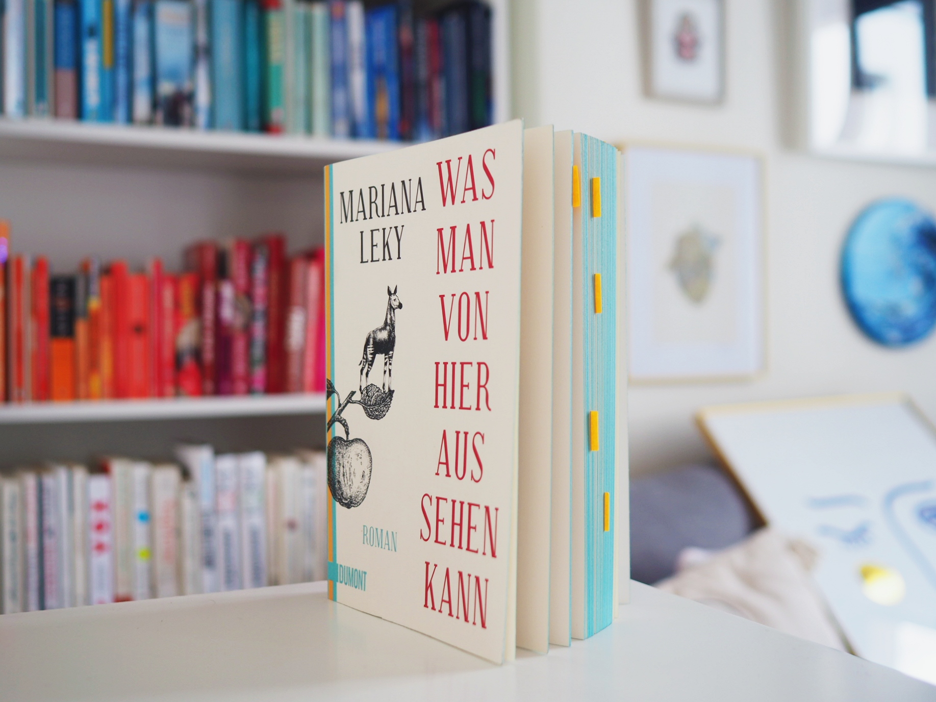 Was Man Von Hier Aus Sehen Kann – Mariana Leky – VK READS