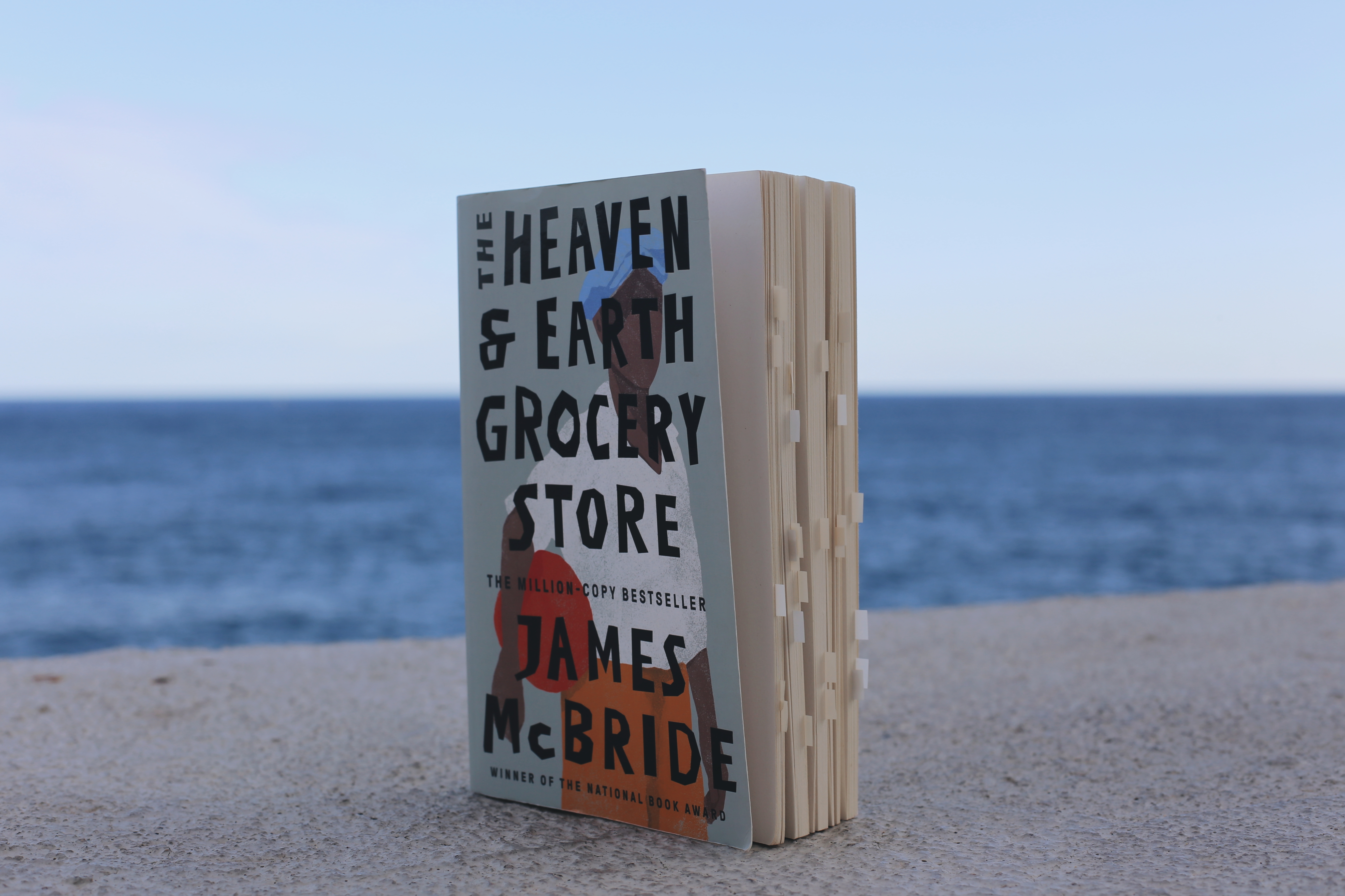 The Heaven & Earth Grocery Store – James McBride – VK READS